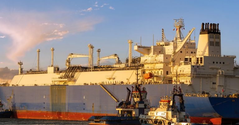 Knowledge Hub: Types of Cargo in Sea Freight - INFINITE